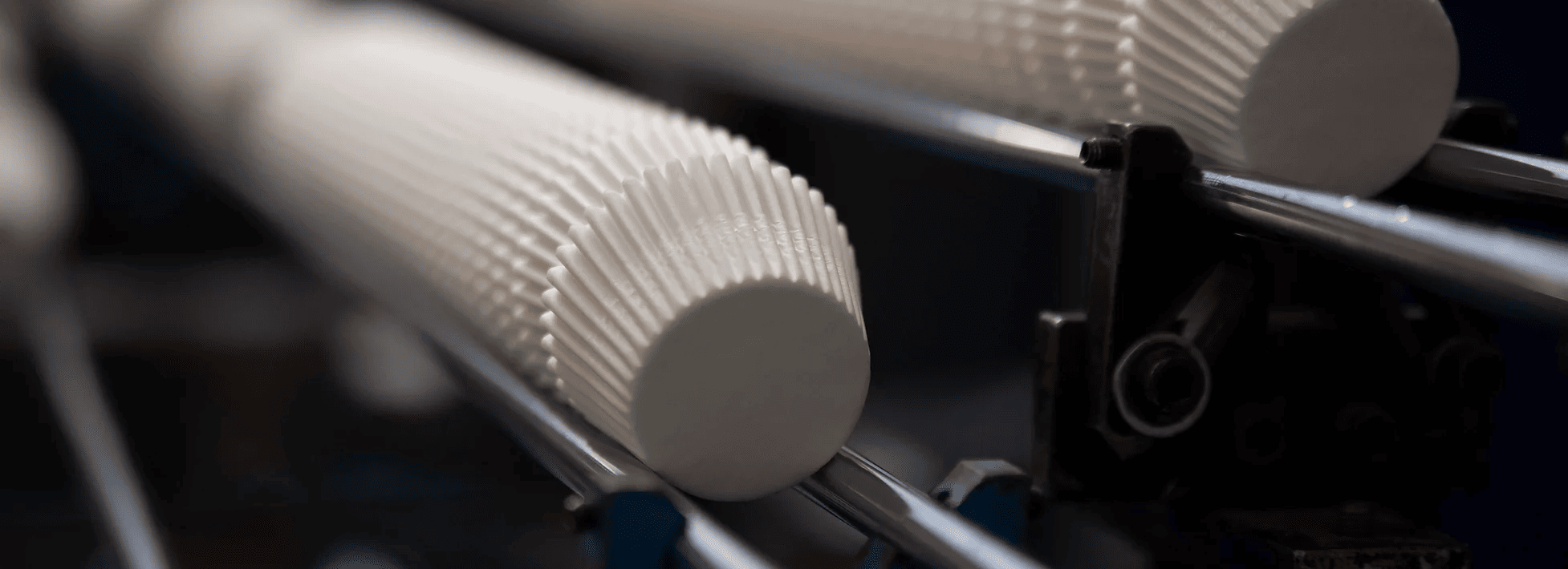 Eco-sustainable solutions for food industry - Ecopack